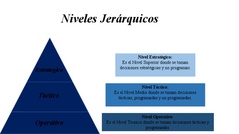 Niveles Jerarquicos | PDF | Negocios