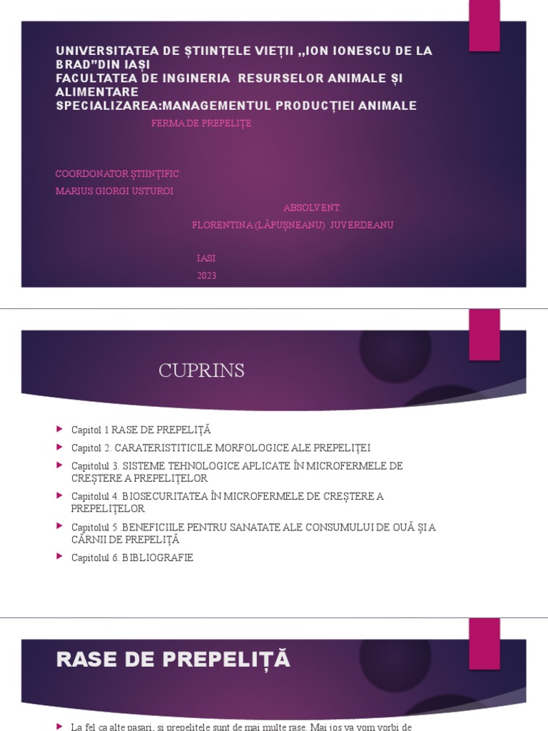 Proiect Power Point Flori | PDF