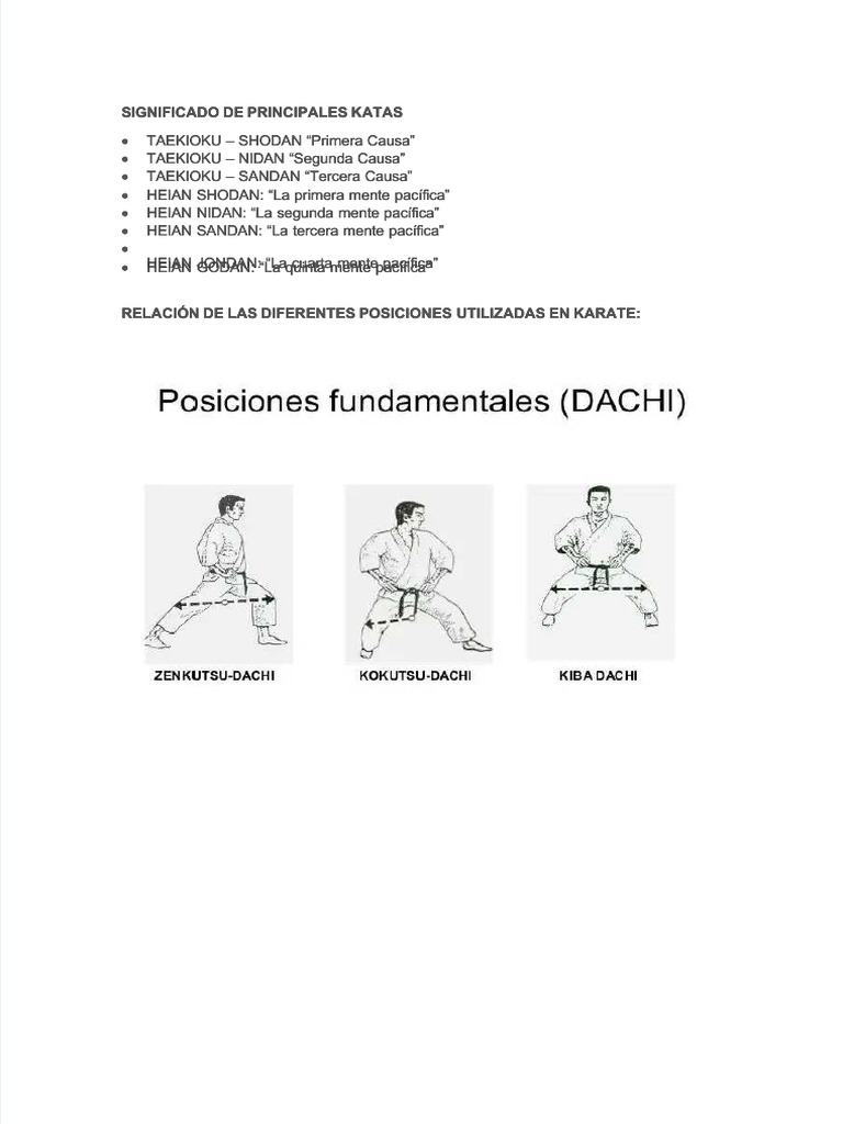 PDF Manual de Karate - Compress | PDF