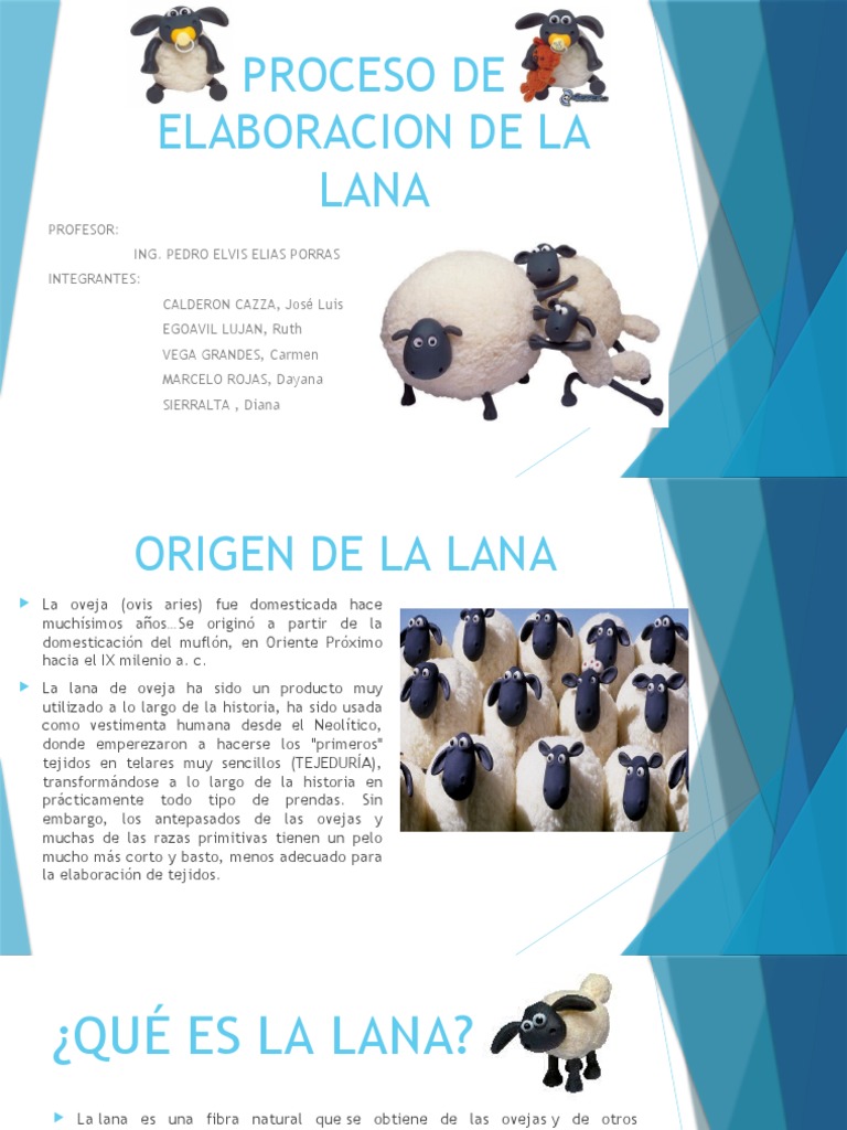 Proceso de Elaboracion de La Lana | PDF