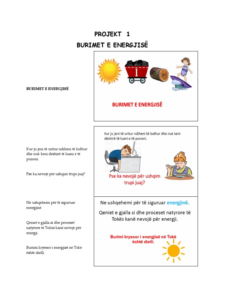 Biologjia 7 Projekt | PDF