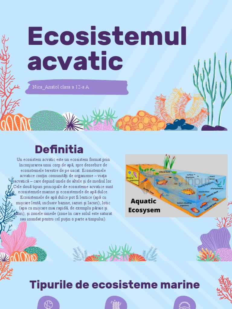 Aquatic Biomes Plants Activities For Elementary by Slidesgo | PDF