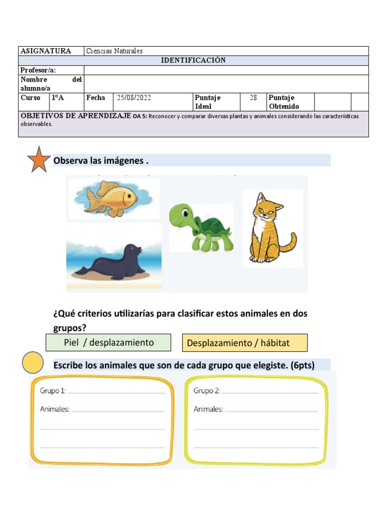 EVALUACIÓN Plantas y Animales | PDF