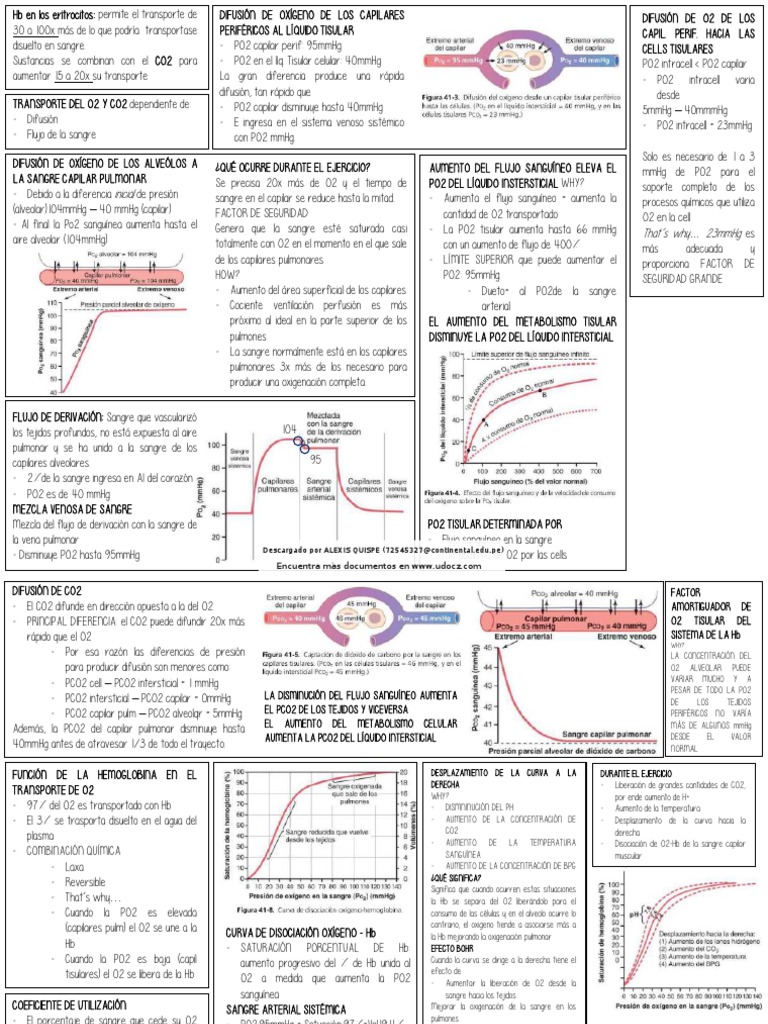 Resumen Capítulo 41 Guyton | PDF