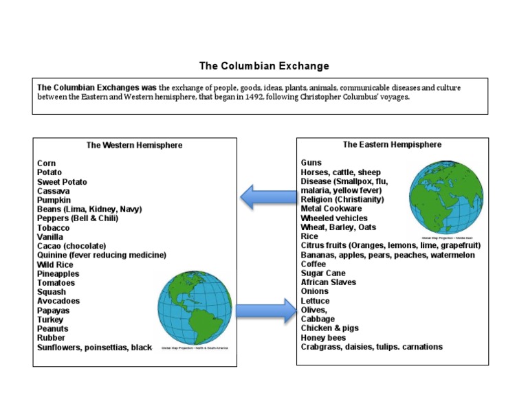 The Columbian Exchange Notes Chart Key | PDF