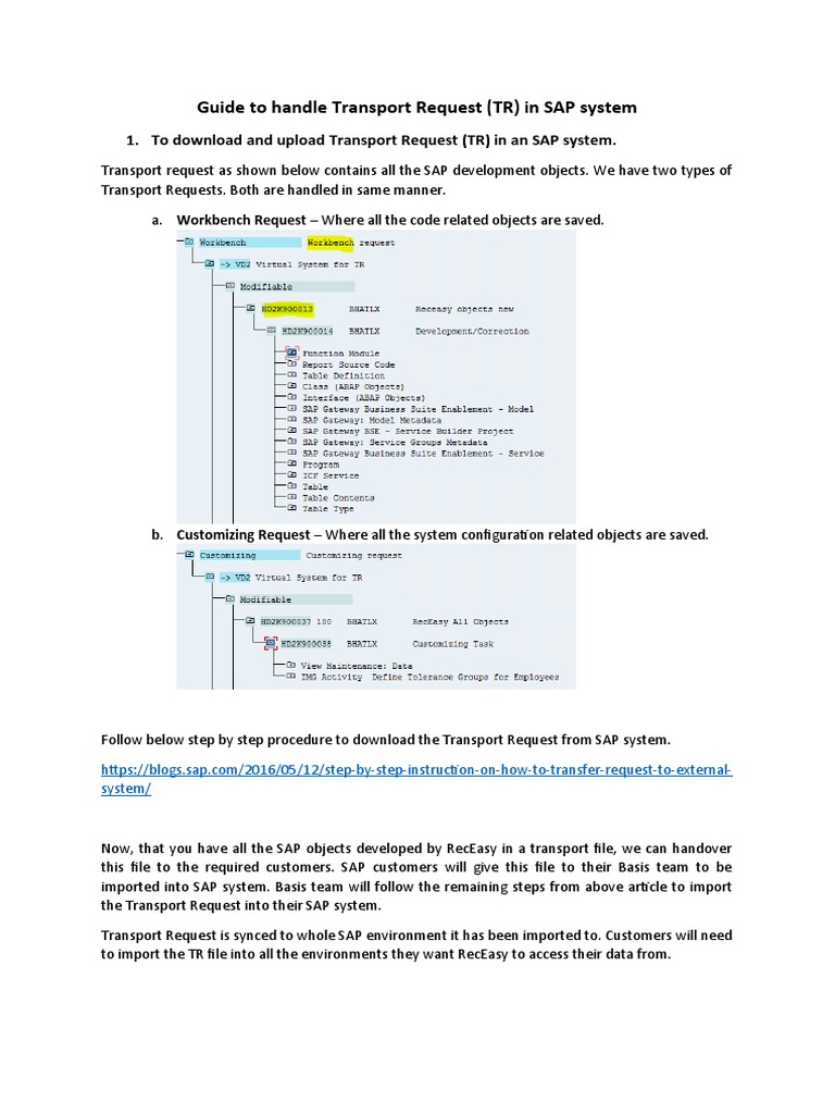 Guide To Handle SAP TR | PDF