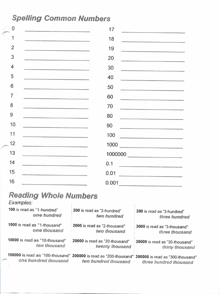 01-Spelling Common Numbers | PDF