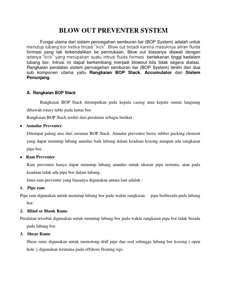 Blow Out Preventer System | PDF