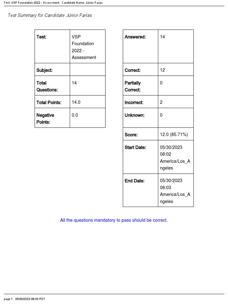 Report VSP Foundation 2022 | PDF