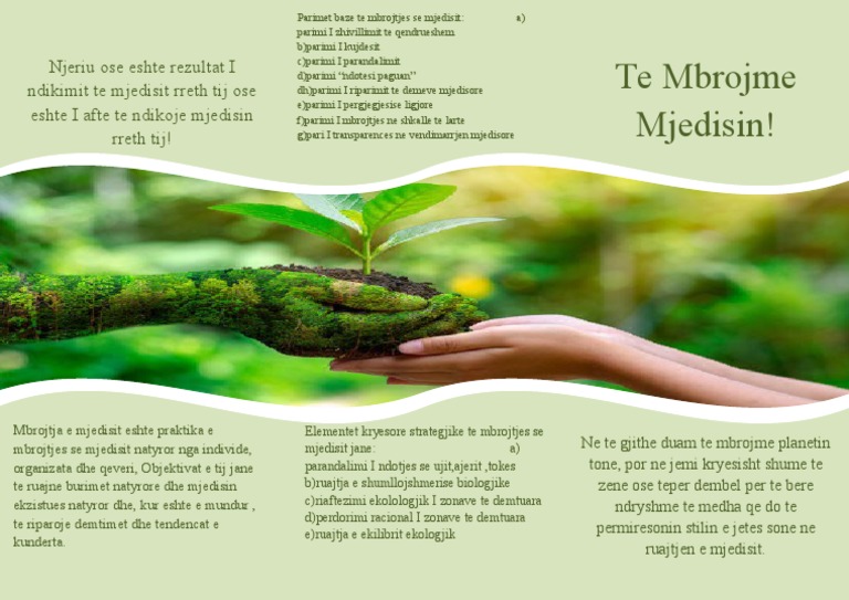 Fletepalosje mjedisi | PDF