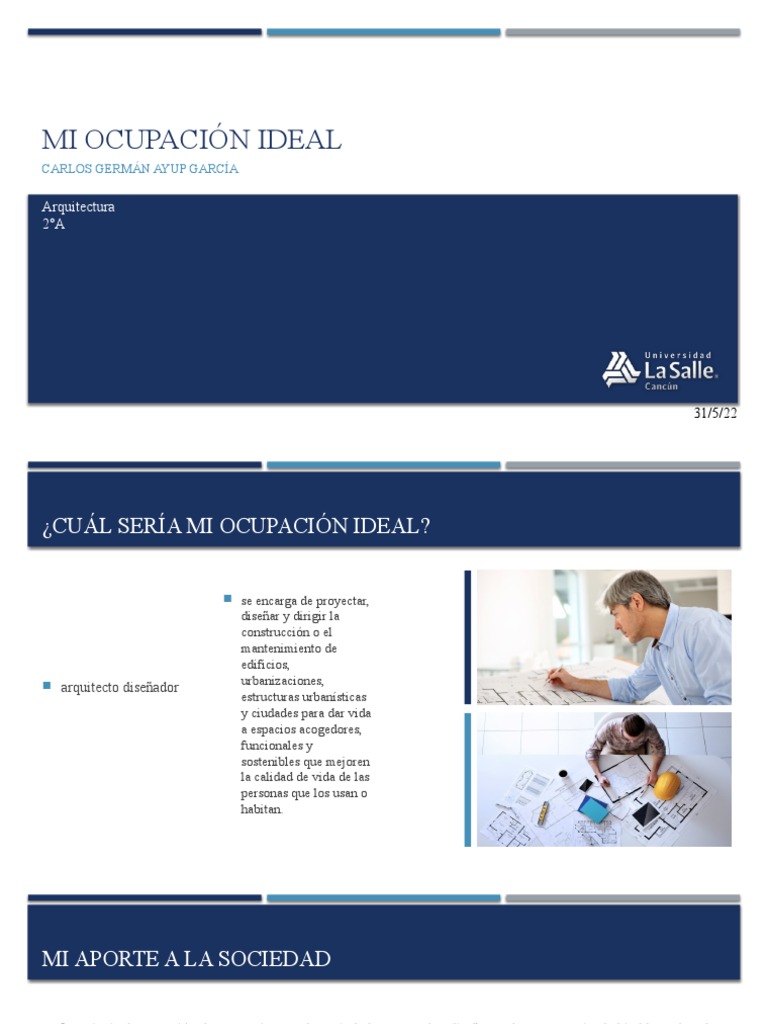 Mi Ocupación Ideal | PDF | Negocios | Arte