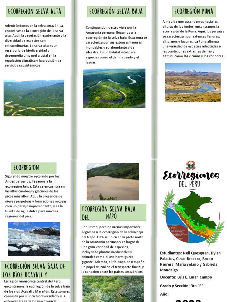 GAAAAAAA | PDF | Selva amazónica | Conservación del medio ambiente