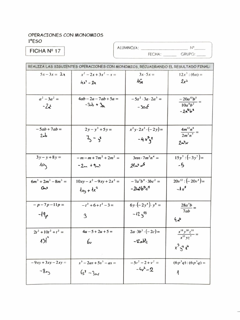 Operaciones Con Monomios | PDF