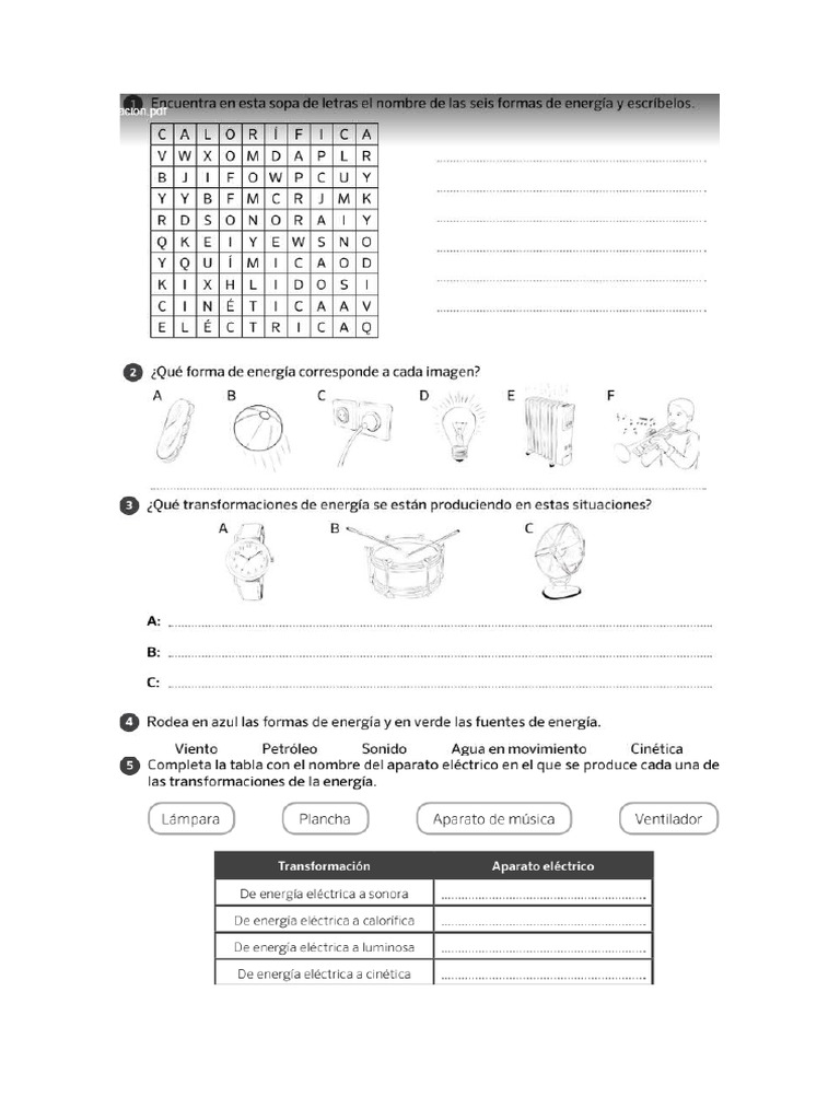 Examen Naturales 3 Primaria | PDF