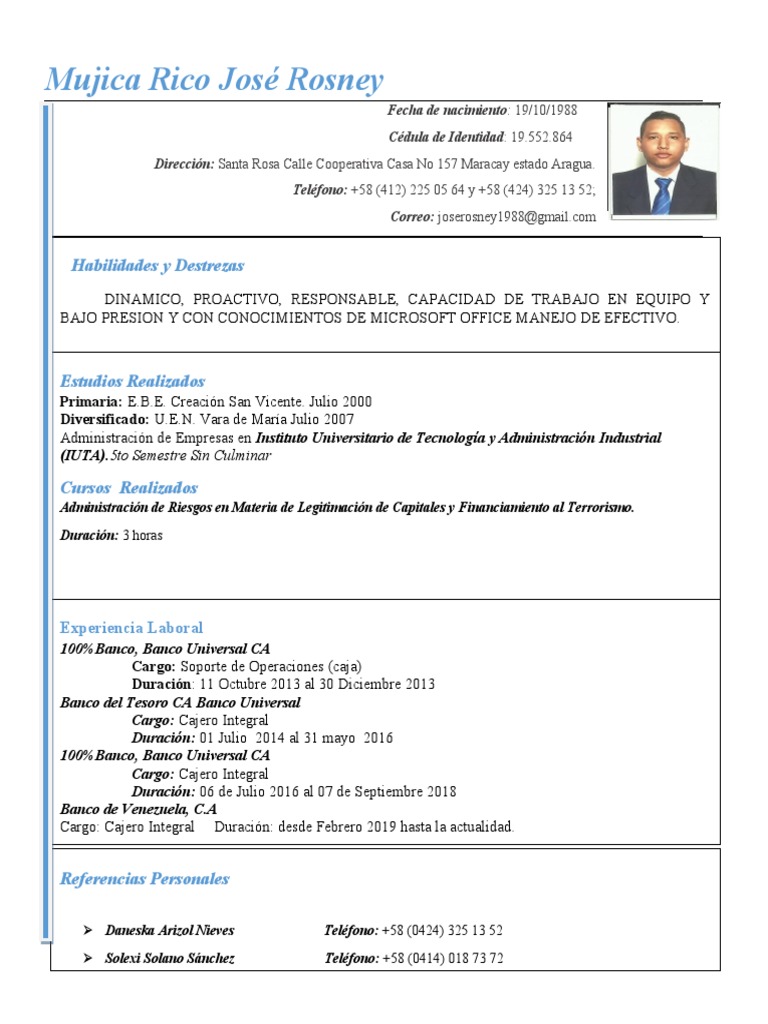 Curriculum Jose Mujica Jose | PDF