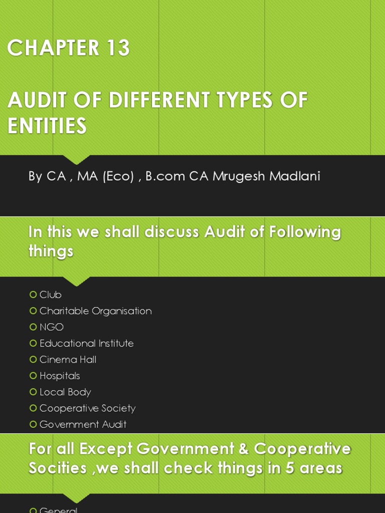 Audit of Different Types of Entities | PDF | Lease | Audit