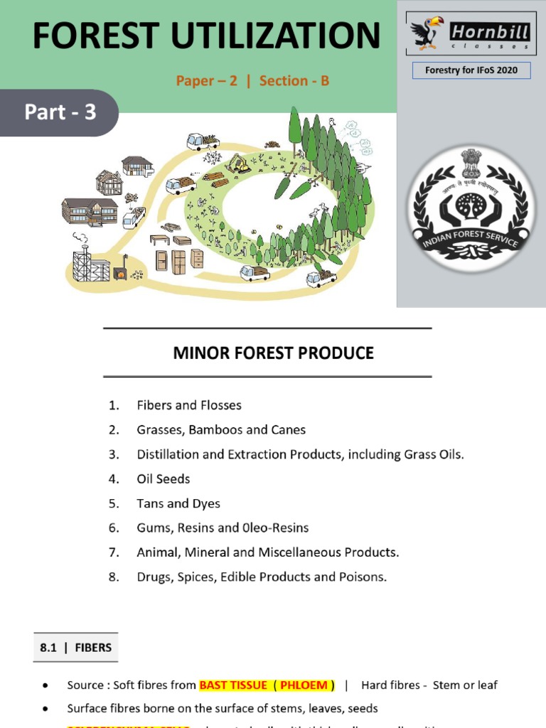 Forest Utilization 3 | PDF