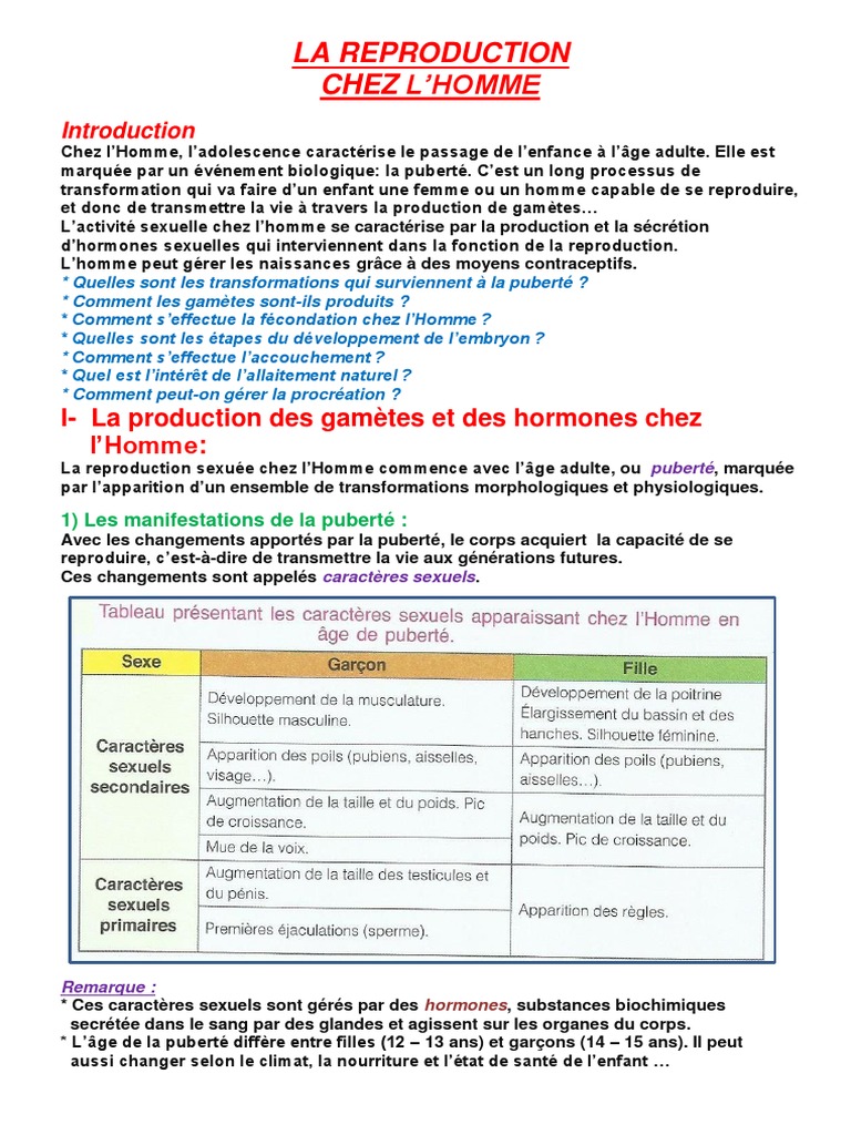 Reproduction chez l'Homme : Guide complet | PDF | Cycle menstruel ...