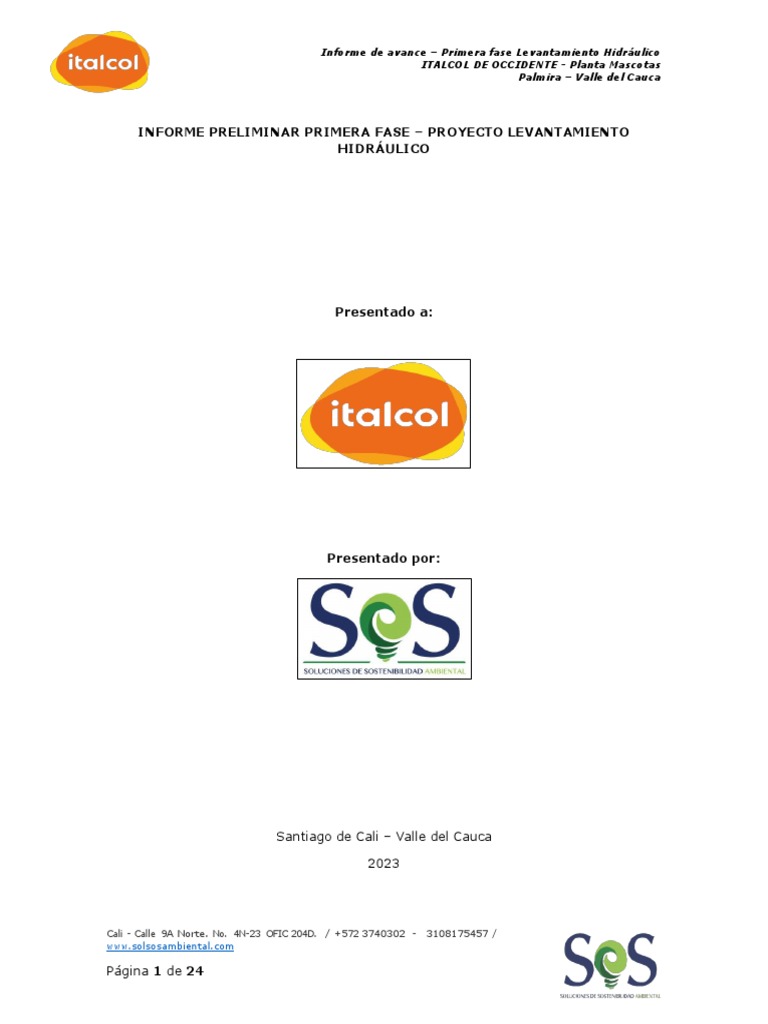 Informe Preliminar Primera Fase | PDF