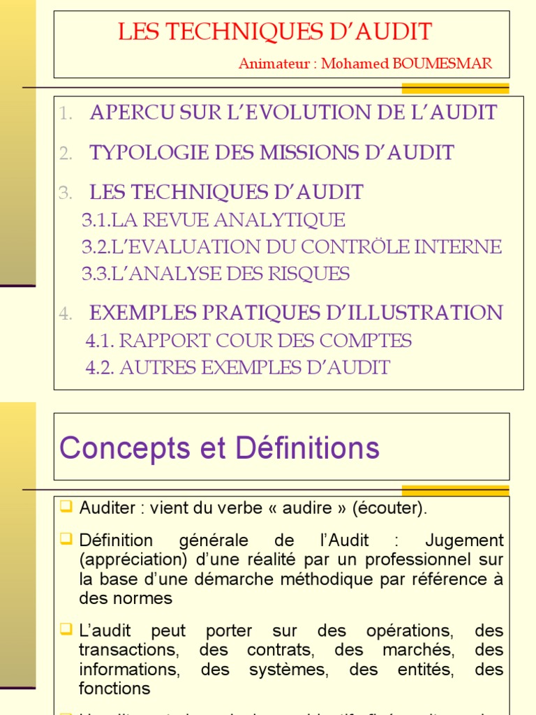 21 - MVT (Boumesmar) - Techniques D'audit | PDF | Finance et gestion ...