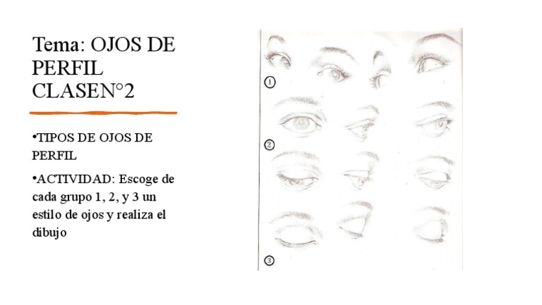 Clase N°2 Tipos de Ojos de Perfil | PDF