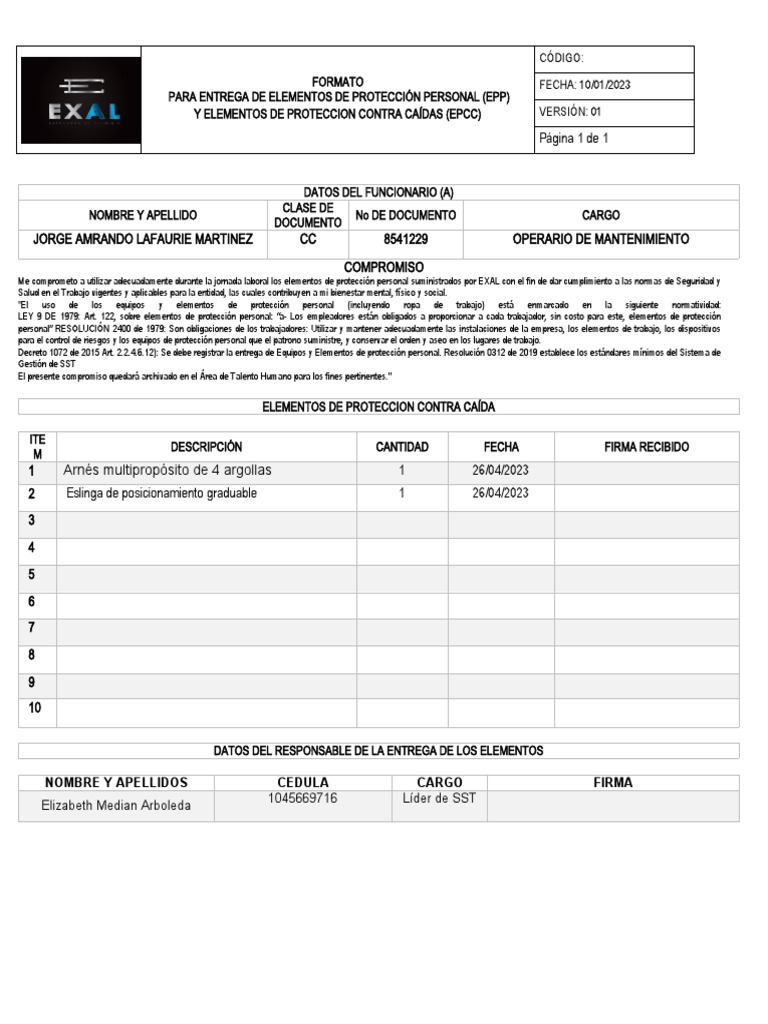 Formato de Entrega de Epp y Epcc | PDF