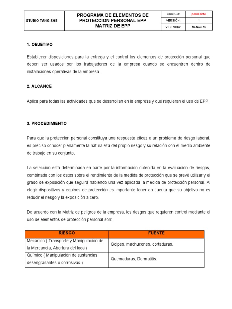 Programa de Epp | PDF