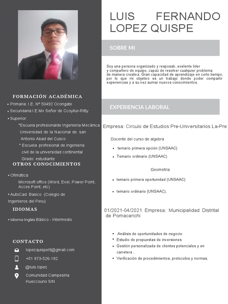 CV Luis | PDF | Empresas de informática de los Estados Unidos | Informática