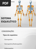 Estrutura dos Ossos do Tronco Humano | PDF