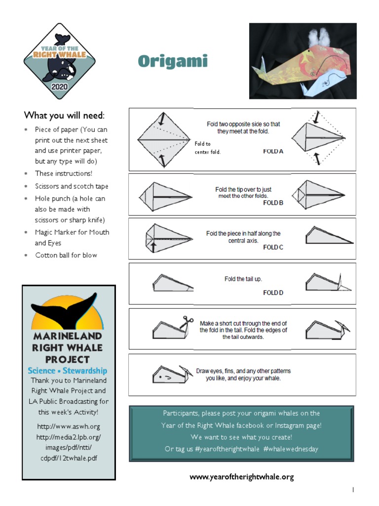 Origami Whale Craft Instructions | PDF | Foreign Language Studies