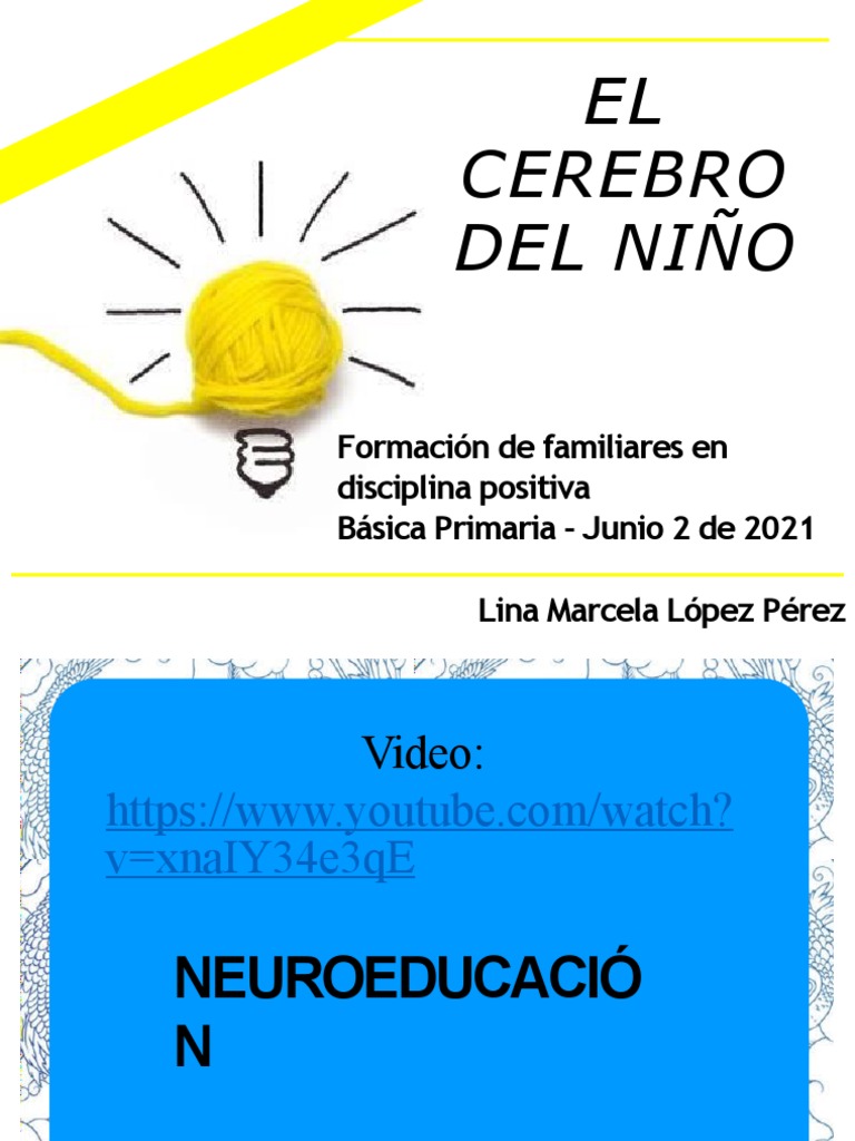 El Cerebro Del Niño Pdf Cerebro Aprendizaje