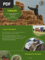 Processo de Produção de Feno | PDF | Feno | Agricultura