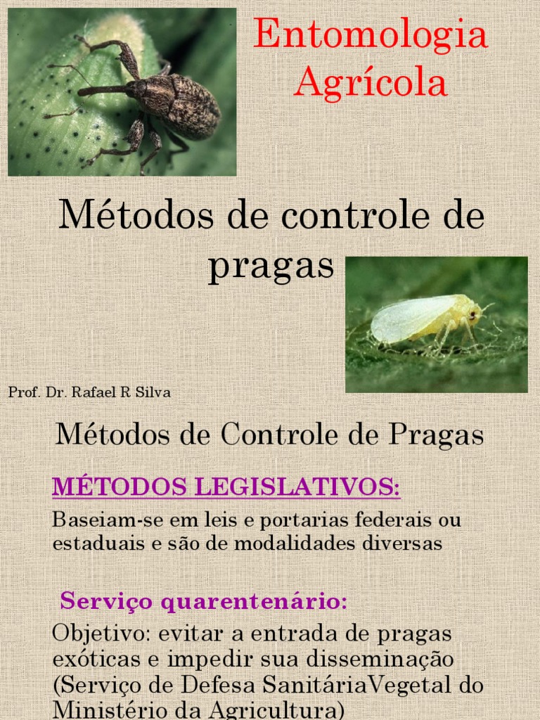 Métodos de controle de pragas | PDF | Agricultura | Insetos