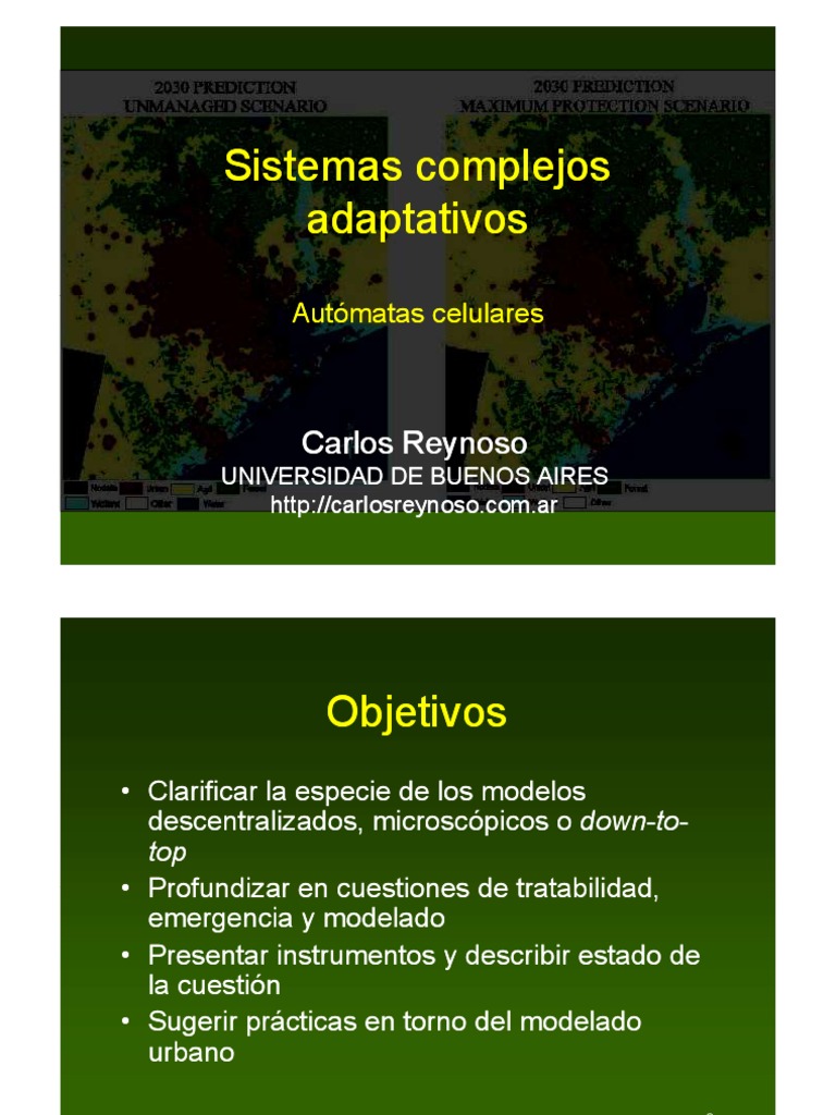Sistemas Complejos Adaptativos - Matematicas | PDF