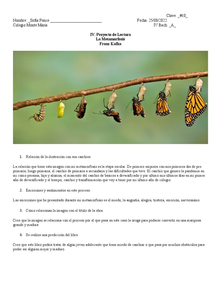 Imagen - Metamorfosis | PDF | Franz Kafka