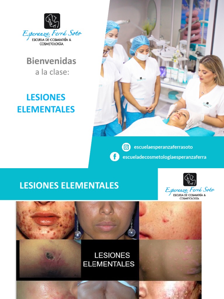 DIAPOSITIVA LESIONES ELEMENTALES | PDF | Piel | Especialidades Medicas
