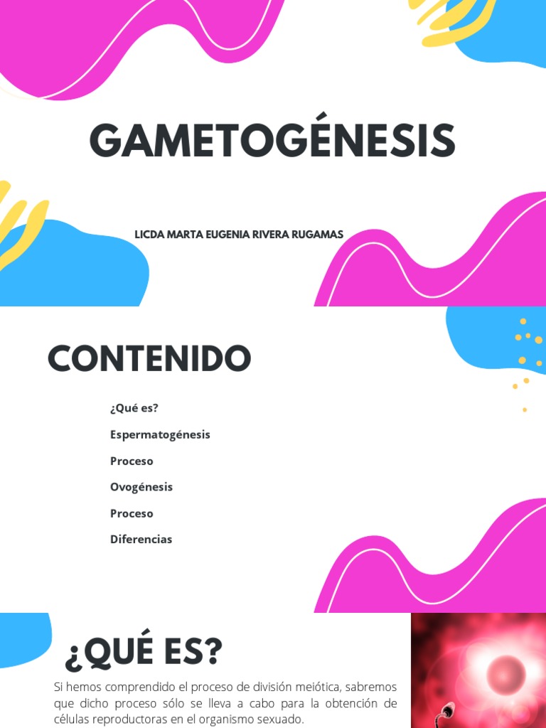 Gametogénesis | PDF | Mitosis | Sistema reproductivo