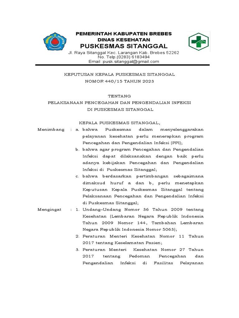 SK Pelaksanaan PPI | PDF