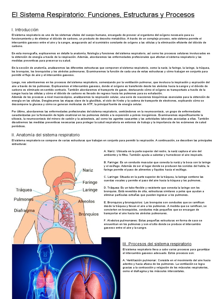 Aparato Respiratorio