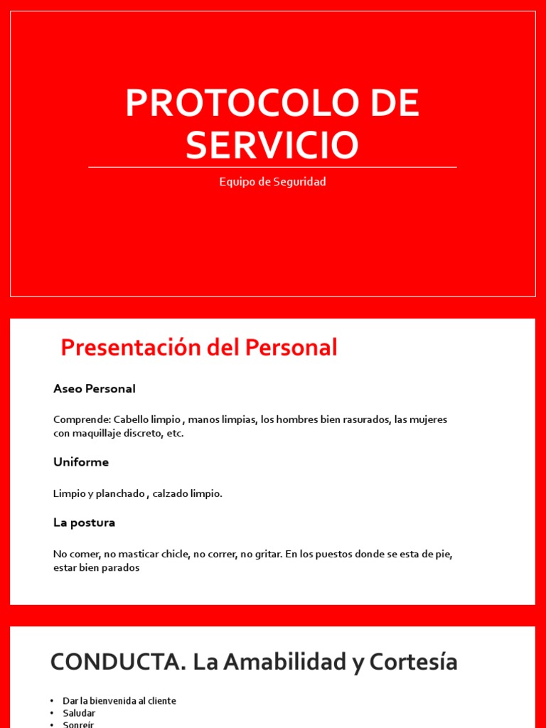 PROTOCOLO DE SERVICIO Personal en Puertas de Acceso | PDF