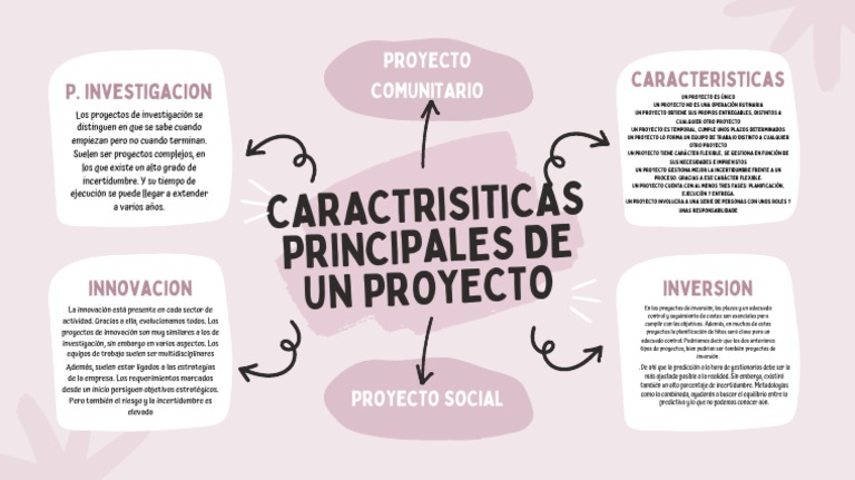 Caracteristicas de Un Proyecto Ept | PDF