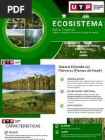 Sabana de Palmeras en Perú: Clima y Fauna | PDF | Clima | Suelo