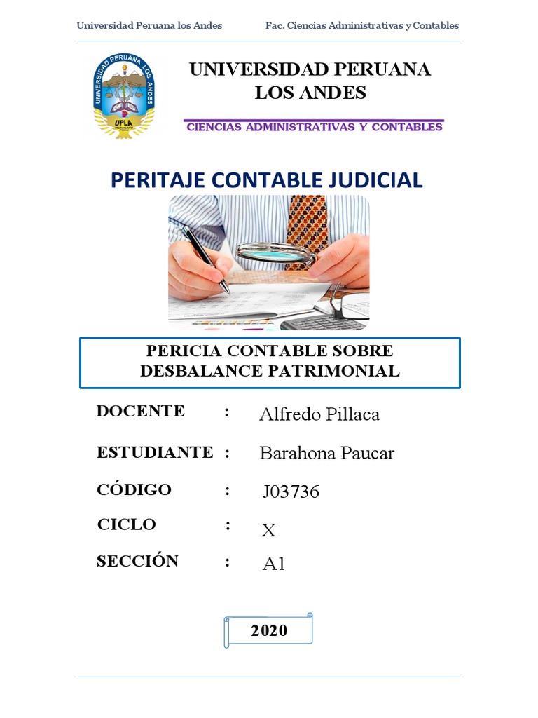 Peritaje Contable Desbalance Contable | PDF | Lavado de dinero | Sentencia (ley)