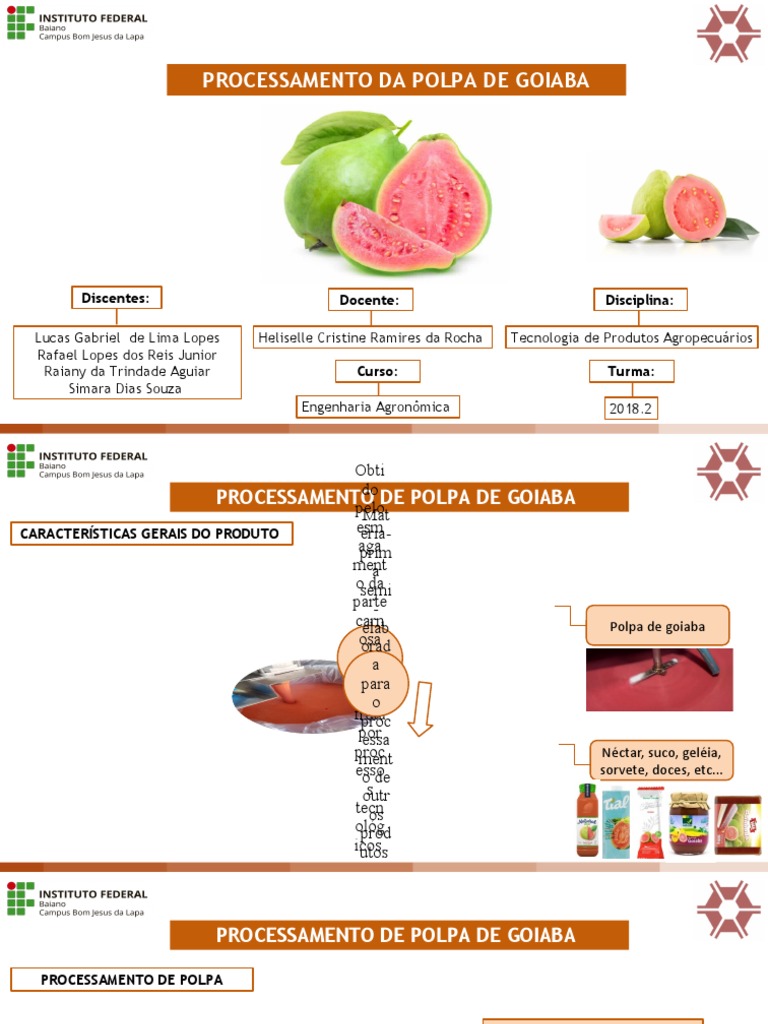 Processamento Da Goiaba | PDF | Química