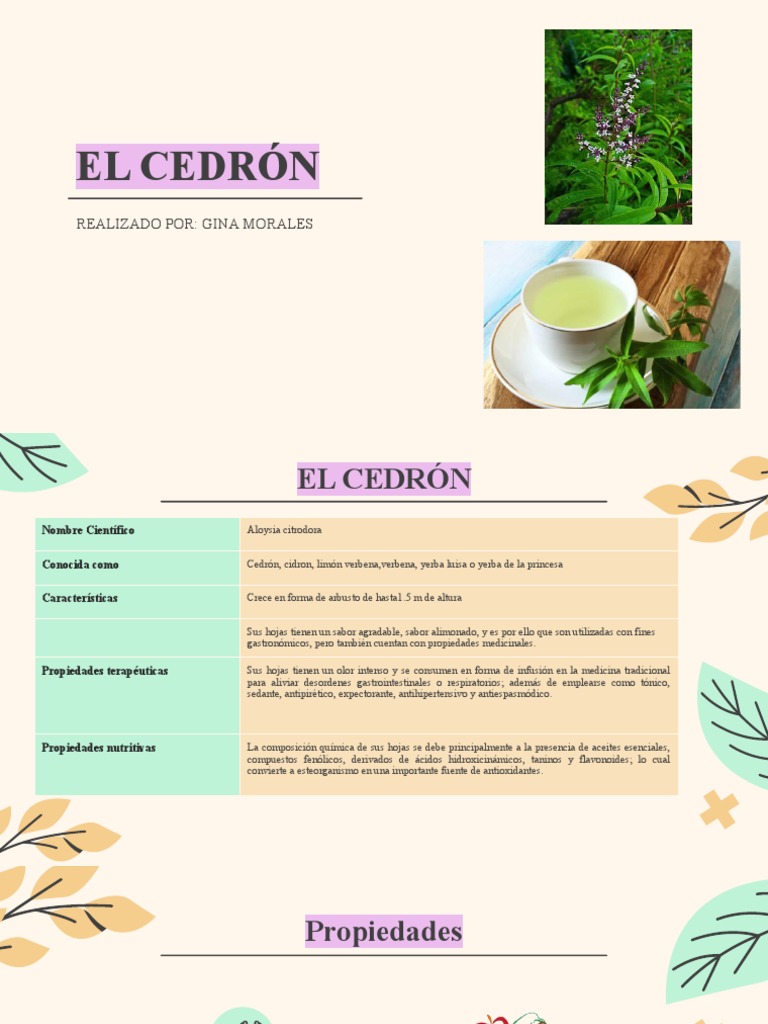 El Cedron | PDF
