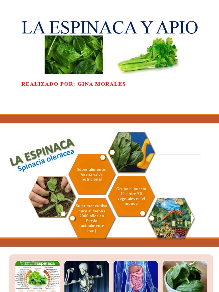 Beneficios Nutricionales de Espinaca y Apio | PDF | Plantas | Espinacas