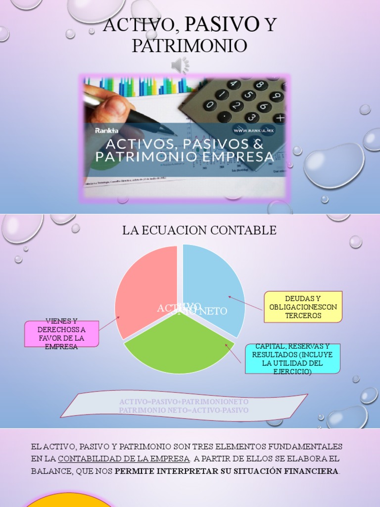 Activo, Pasivo y Patrimonio | PDF