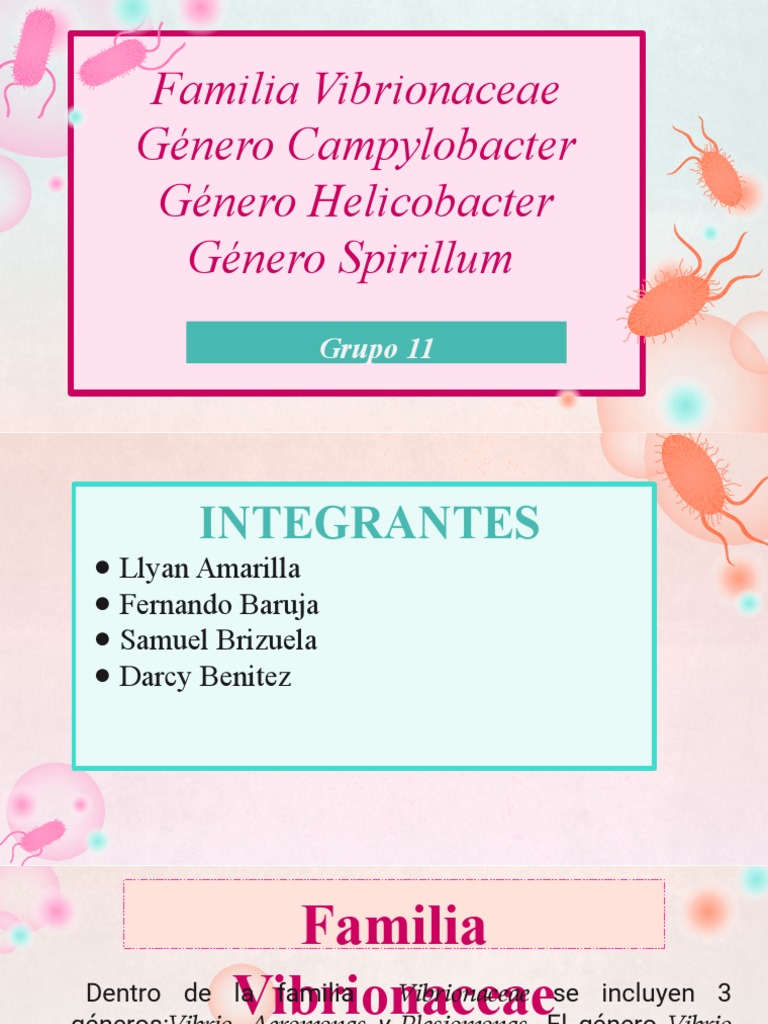 Microbiology Major For College - Parasitology by Slidesgo | PDF ...