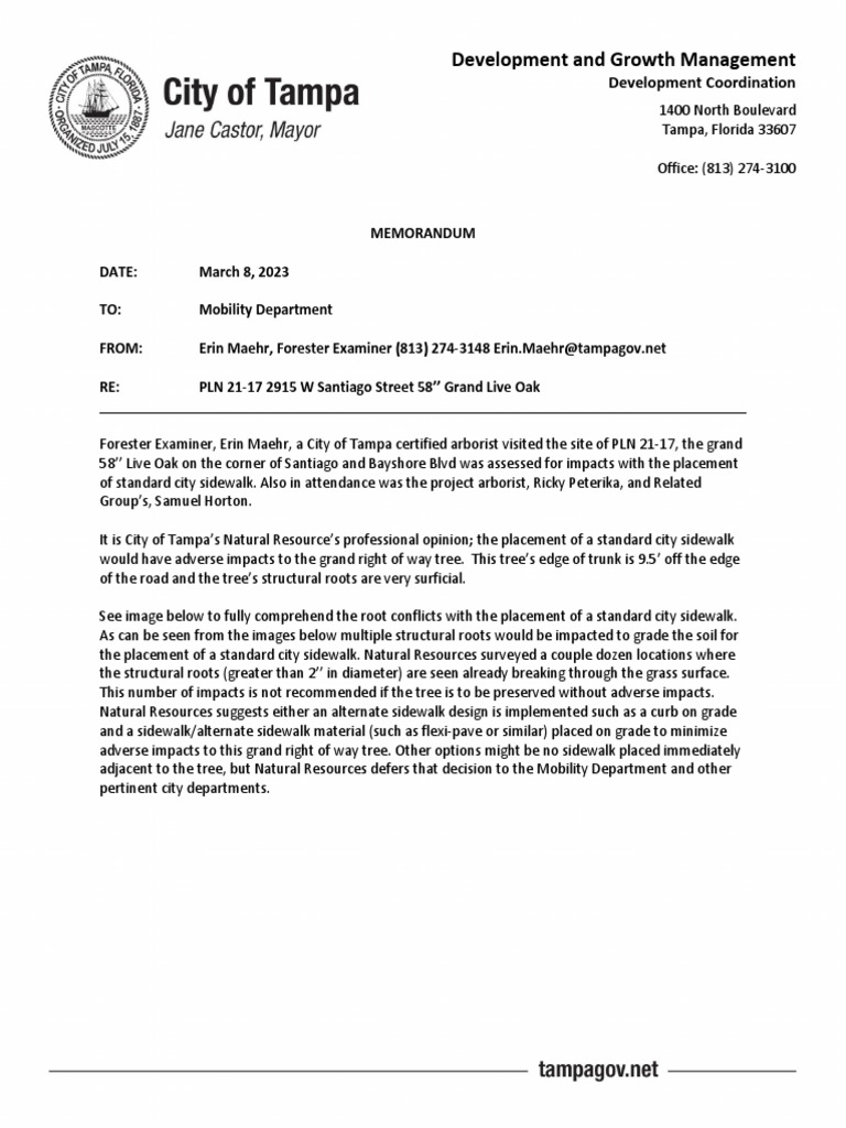 City of Tampa Tree Removal Letter | PDF