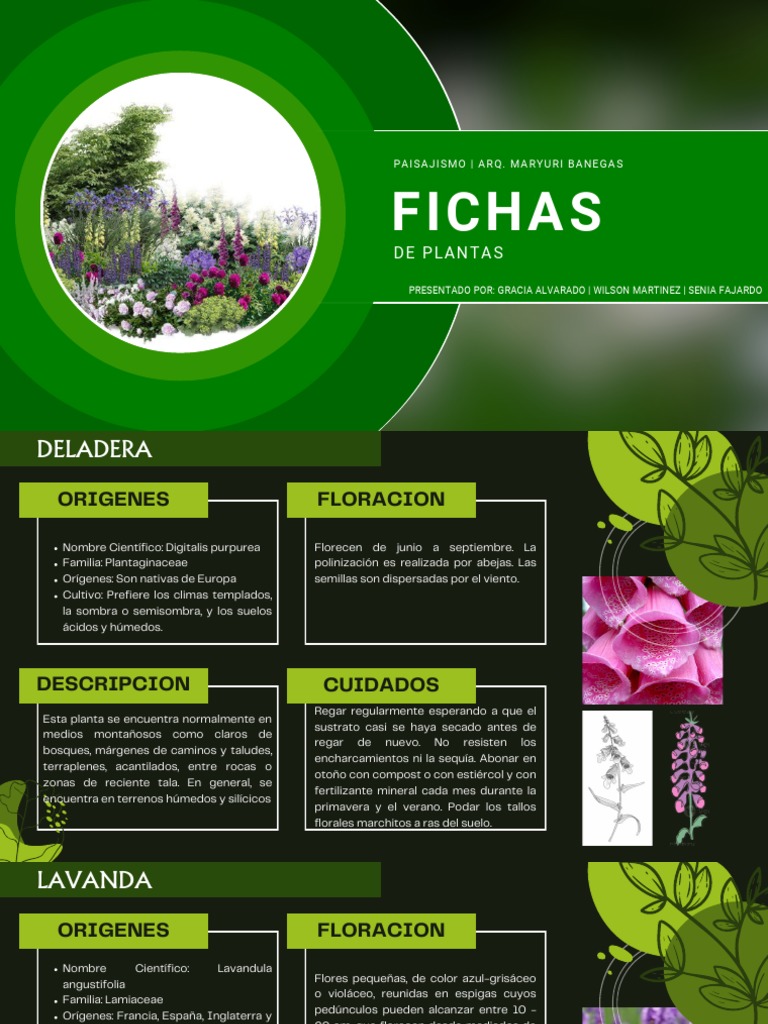 Ficha Técnica | PDF | Flores | Plantas